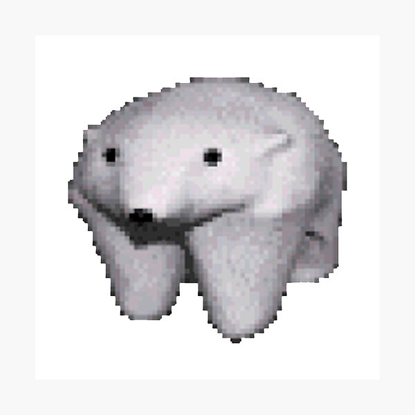 "Polar Bear Meme" Photographic Print for Sale by aMemeStore | Redbubble