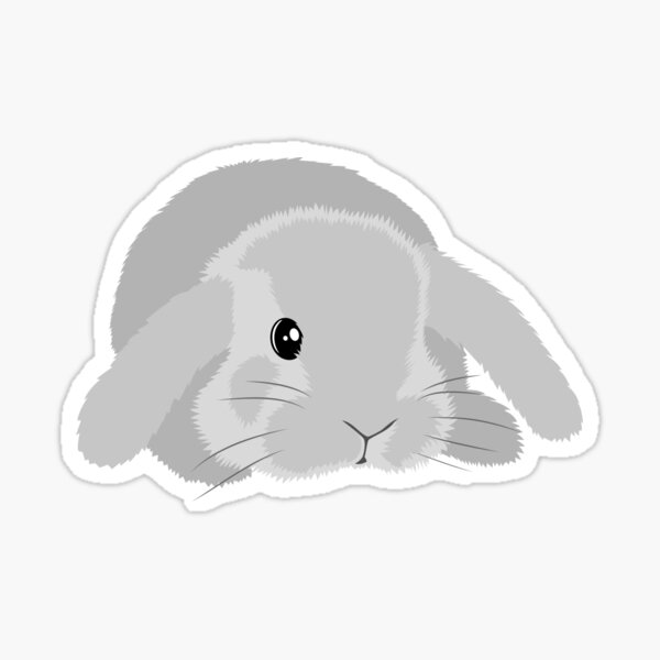 "Cute fluffy baby bunny" Sticker for Sale by HotVector | Redbubble