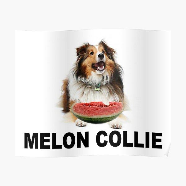 "Melon Collie" Poster by JLHStudios | Redbubble