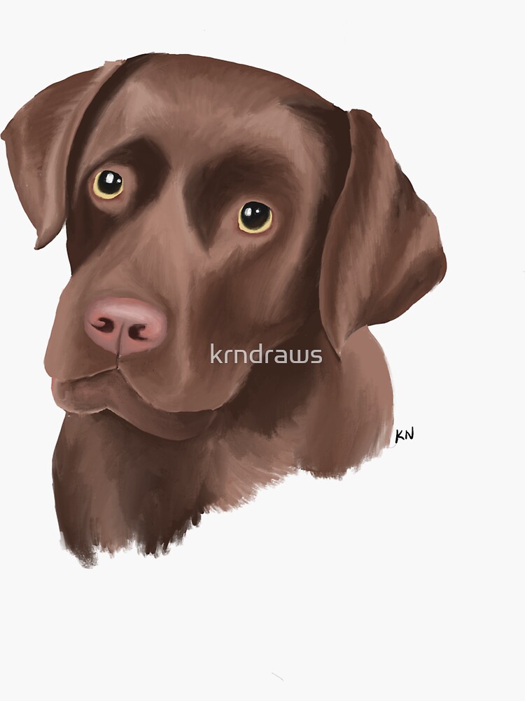 "CHOCOLATE LAB" Sticker for Sale by krndraws | Redbubble