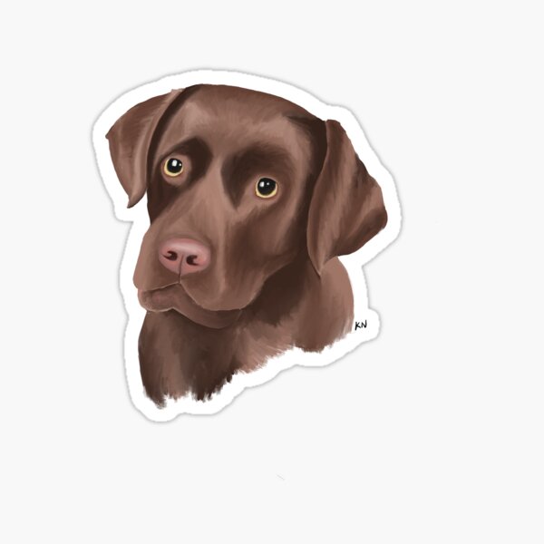 "CHOCOLATE LAB" Sticker for Sale by krndraws | Redbubble
