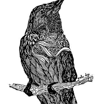 Mockingjay Bird Drawing