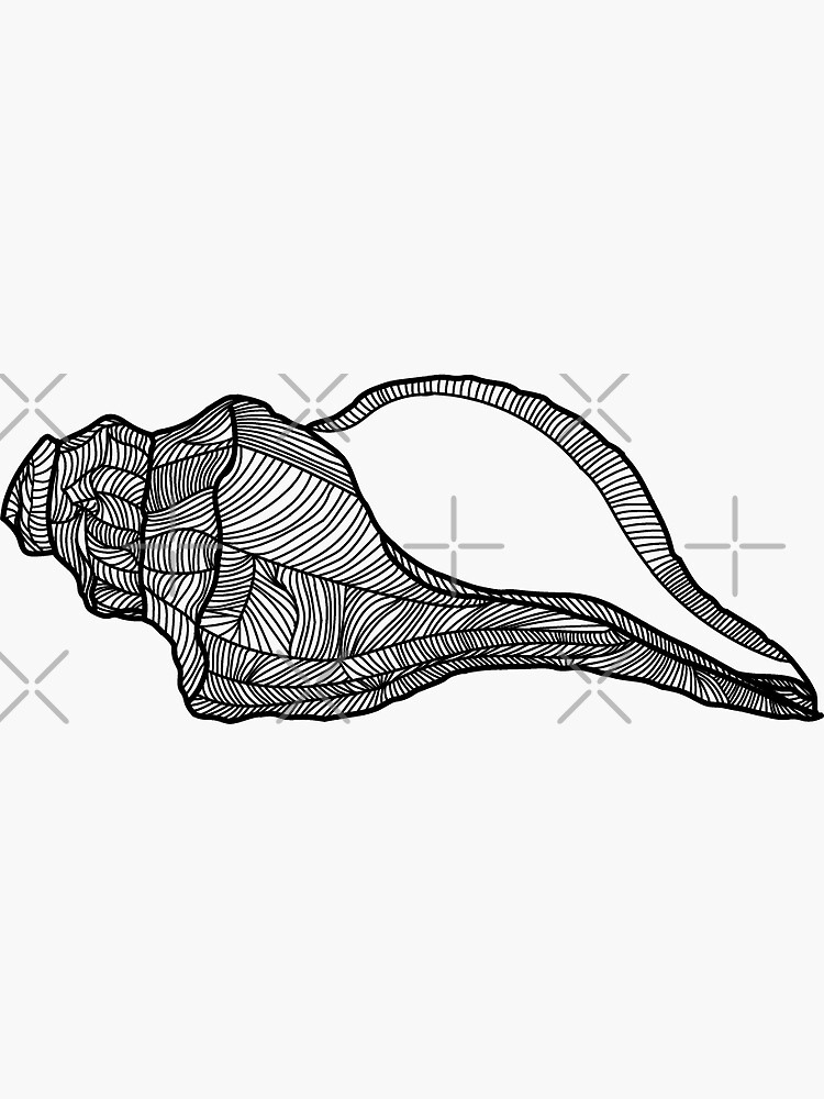 "Conch Shell" Sticker for Sale by mwatros01 | Redbubble