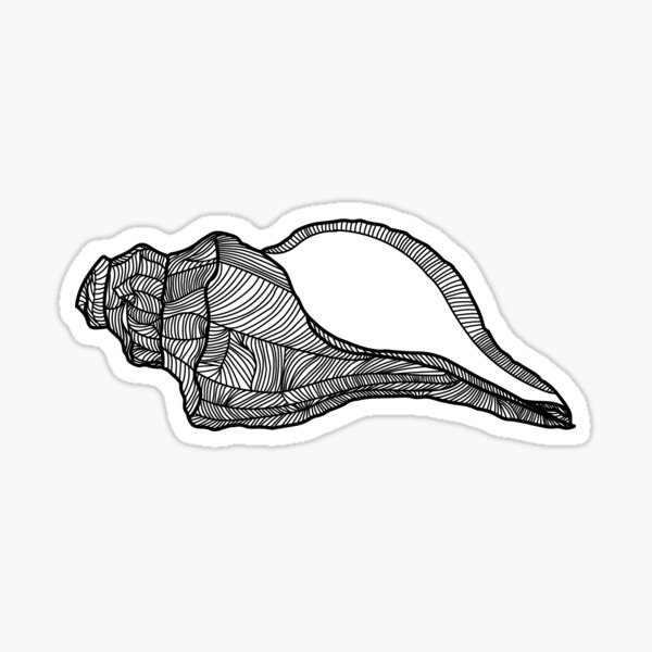 "Conch Shell" Sticker for Sale by mwatros01 | Redbubble
