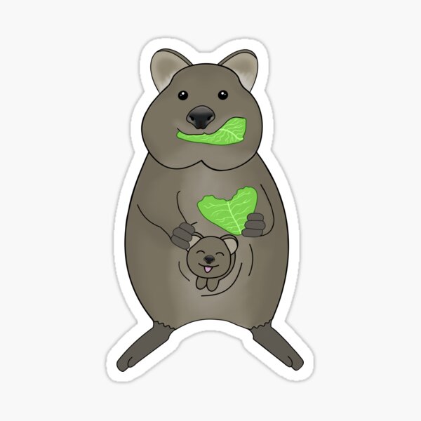 "Quokka" Sticker by Kim-Kyle | Redbubble