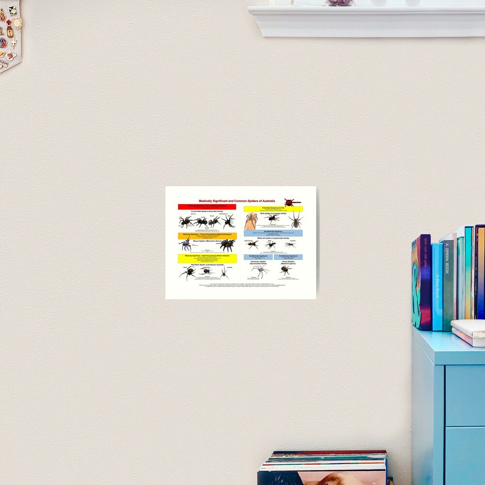 "Medically Significant and Common Spiders of Australia" Art Print for ...
