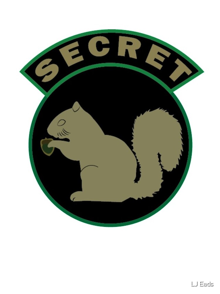 "Secret Squirrel Intelligence Air Force Spy Patch" iPhone Case for Sale ...