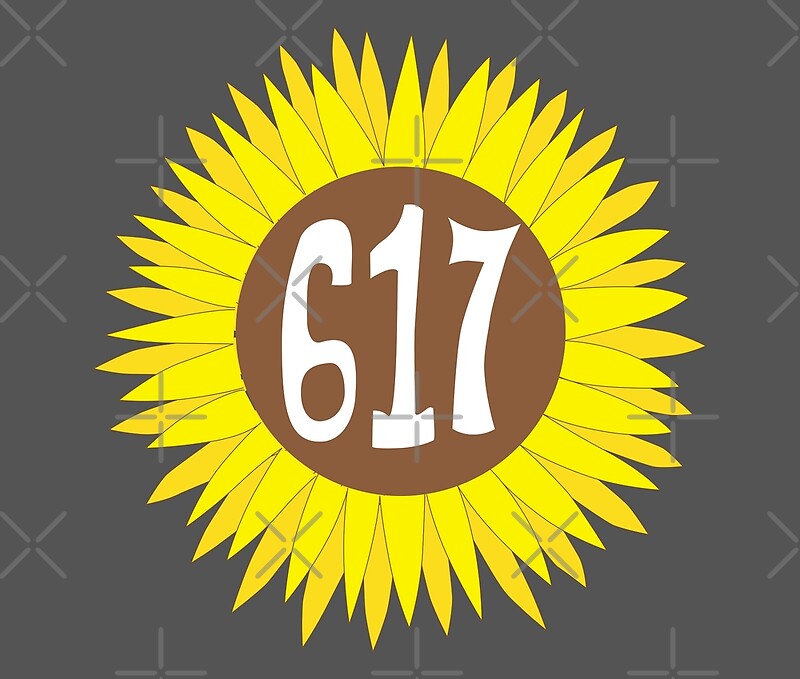 "Hand Drawn Massachusetts Sunflower 617 Area Code" by itsrturn | Redbubble