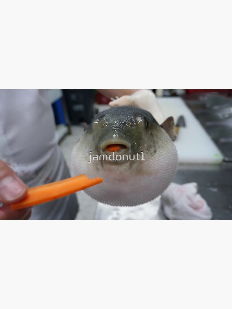 "Pufferfish Eating a Carrot Meme" Sticker for Sale by jamdonut1 | Redbubble