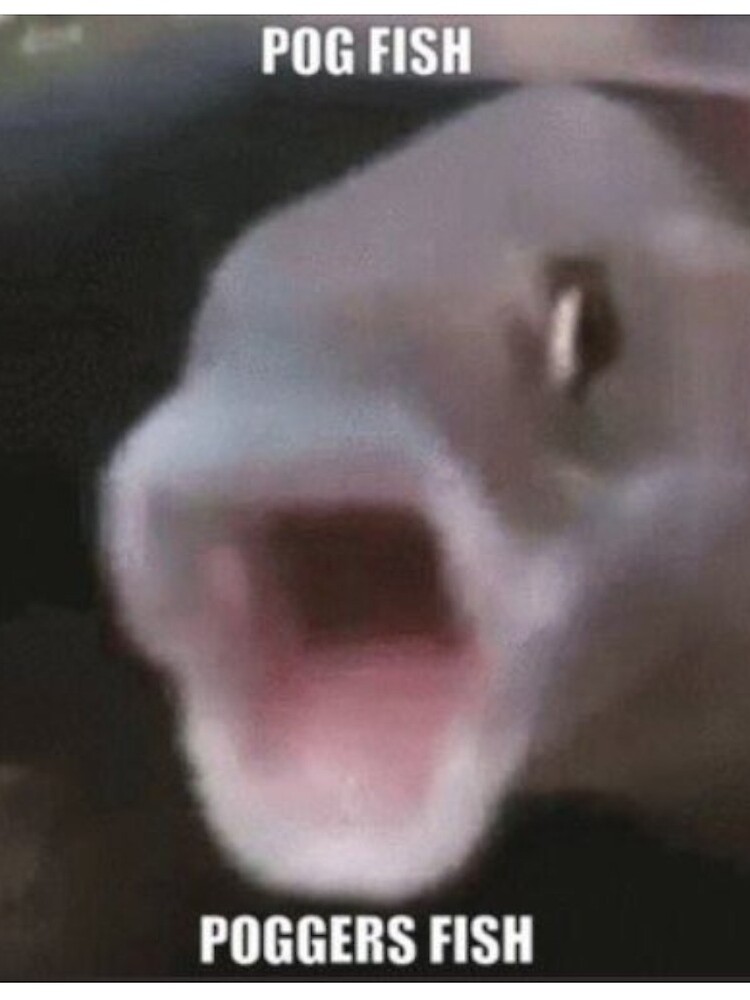 "Pog Fish Poggers Fish" Drawstring Bag for Sale by EmoteBot | Redbubble