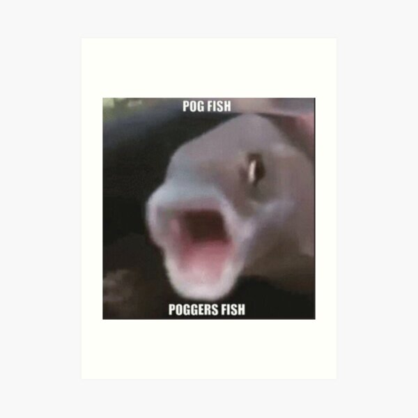 "Pog Fish Poggers Fish" Art Print for Sale by EmoteBot | Redbubble