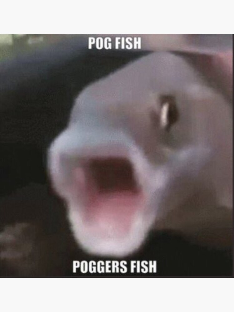 Pog Fish Poggers Fish Premium Matte Vertical Poster sold by Noddy Schutte | SKU 40592908 ...