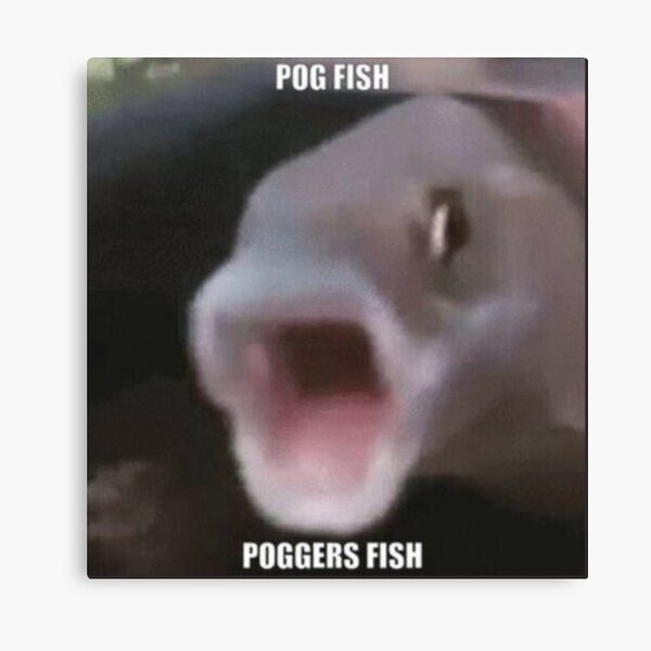 "Pog Fish Poggers Fish" Canvas Print for Sale by EmoteBot | Redbubble