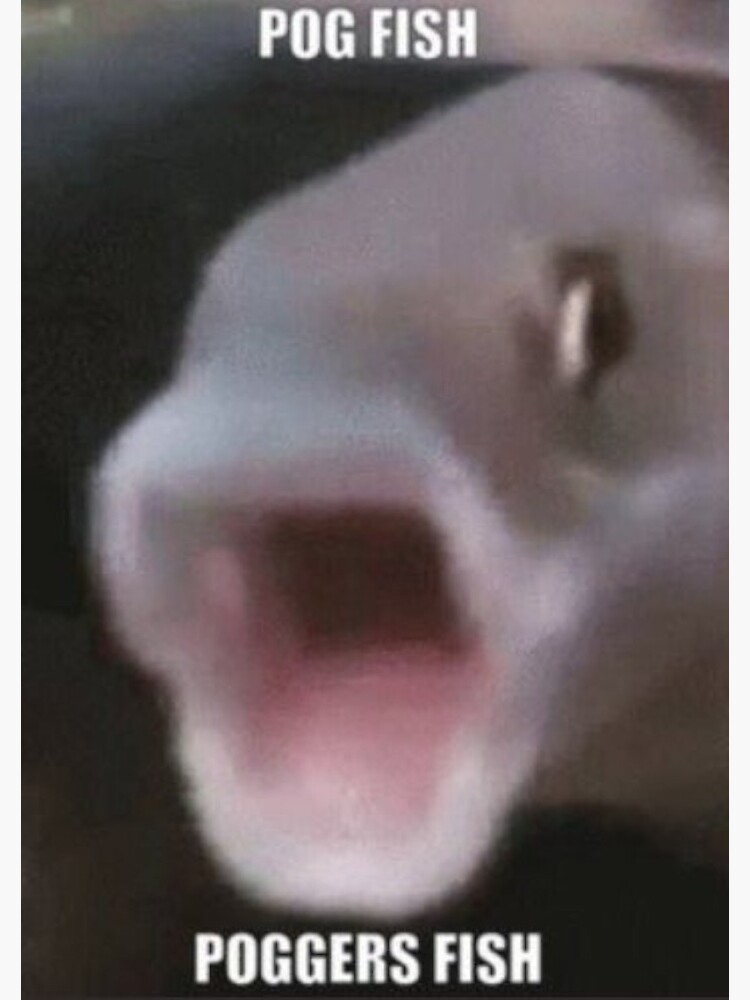 "Pog Fish Poggers Fish" Spiral Notebook for Sale by EmoteBot | Redbubble