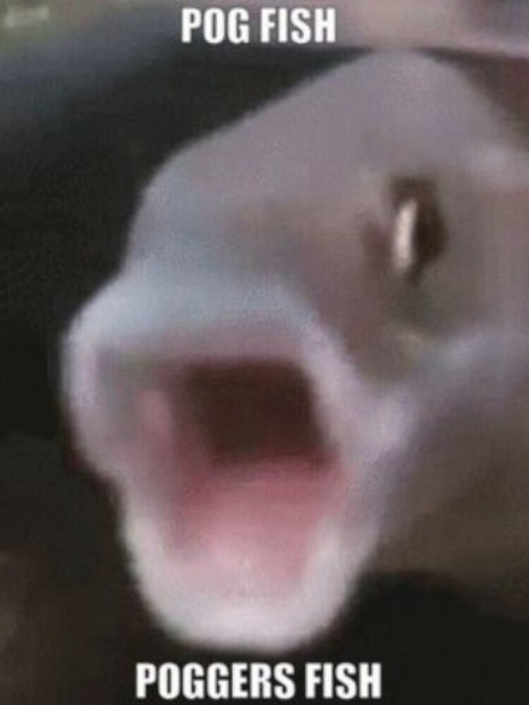 "Pog Fish Poggers Fish" Graphic T-Shirt by EmoteBot | Redbubble