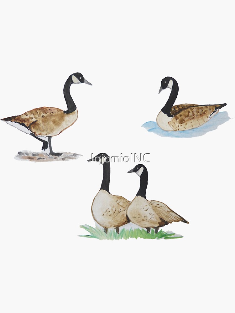 "Canadian geese" Sticker for Sale by JojomioINC | Redbubble