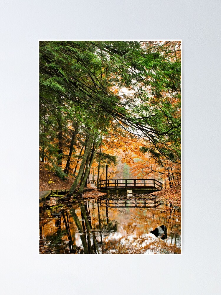 "Fall Bog Sunrise" Poster for Sale by rollosphotos | Redbubble