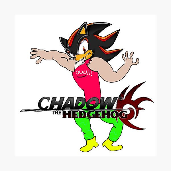 Shadow The Hedgehog Wall Art | Redbubble