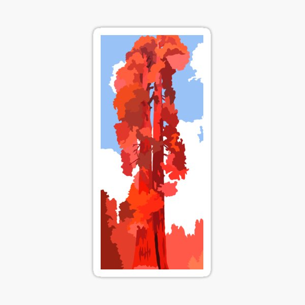 "Sequoia Tree" Sticker for Sale by mappsart | Redbubble