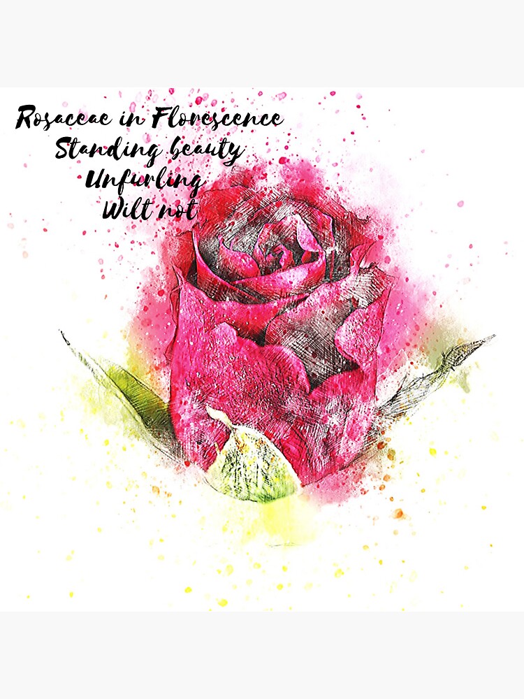 "Rosaceae in Florescence" Sticker by Vivisaint | Redbubble