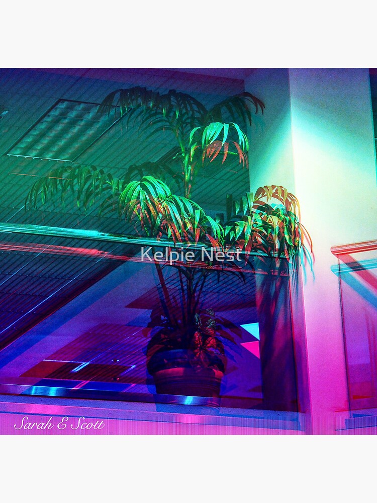 "Vaporwave Palm Tree" Sticker for Sale by Kelpienest | Redbubble