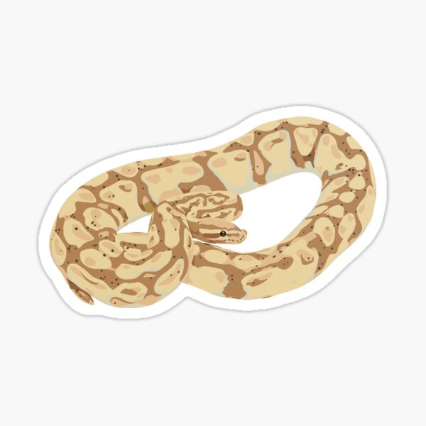 "Banana Ball Python" Sticker by noelhill | Redbubble