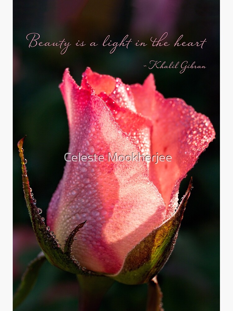 "Inspirational rose" Poster by celestem | Redbubble
