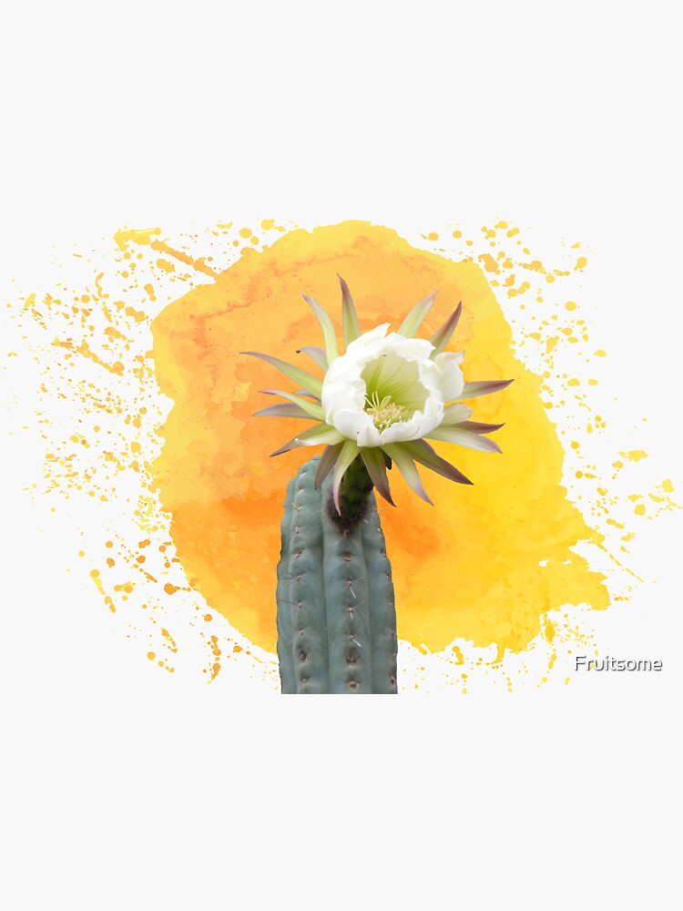 "San Pedro Flower" Sticker by Fruitsome | Redbubble