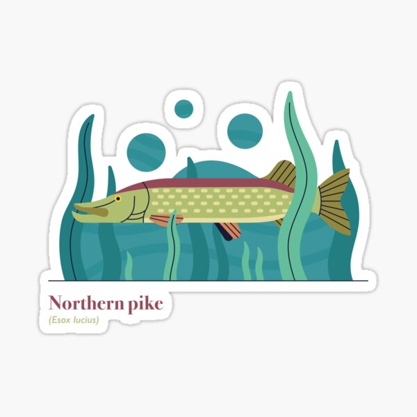 "Northern Pike" Sticker for Sale by PatrickSuessle | Redbubble