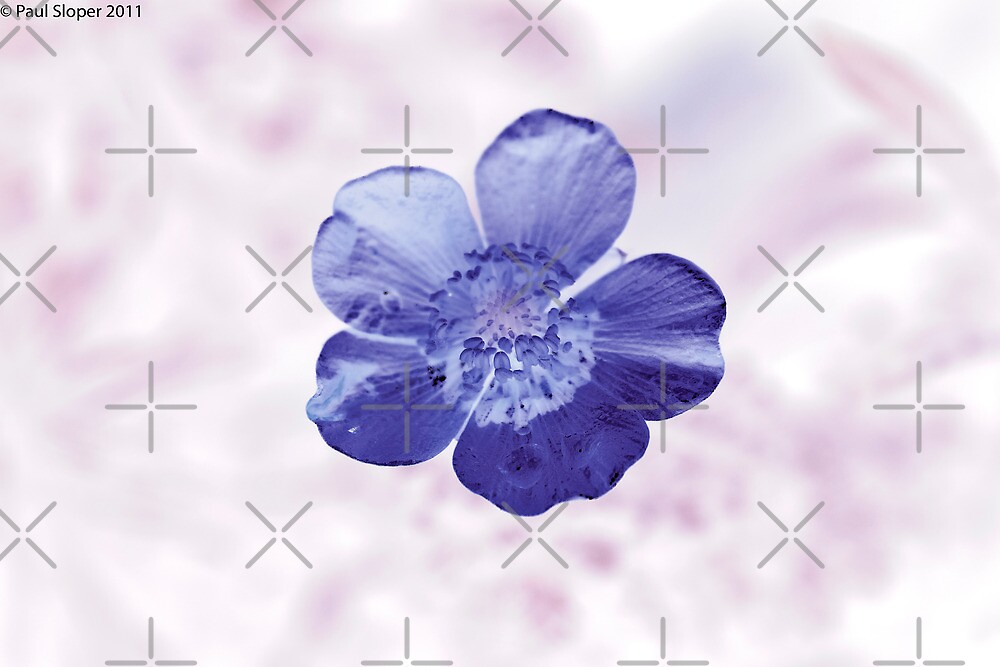 "inverted yellow flower" by Paul Sloper | Redbubble