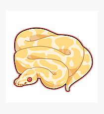 Ball Python: Gifts & Merchandise | Redbubble