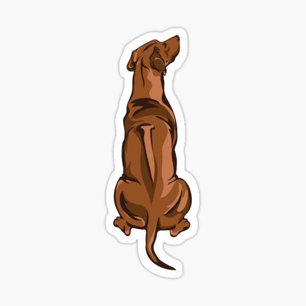 Rhodesian Ridgeback Stickers | Redbubble