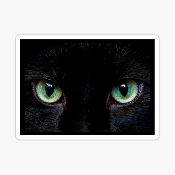 Toothless Eyes Stickers | Redbubble