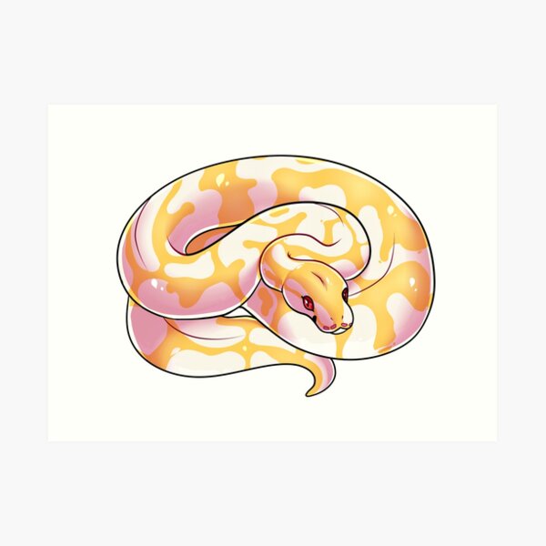 "Albino Ball Python V2" Art Print for Sale by cargorabbit | Redbubble