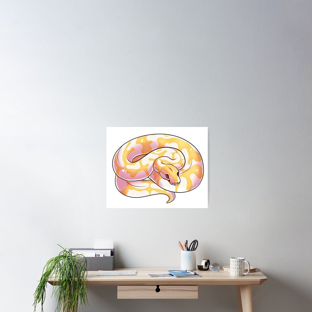"Albino Ball Python V2" Poster by cargorabbit | Redbubble
