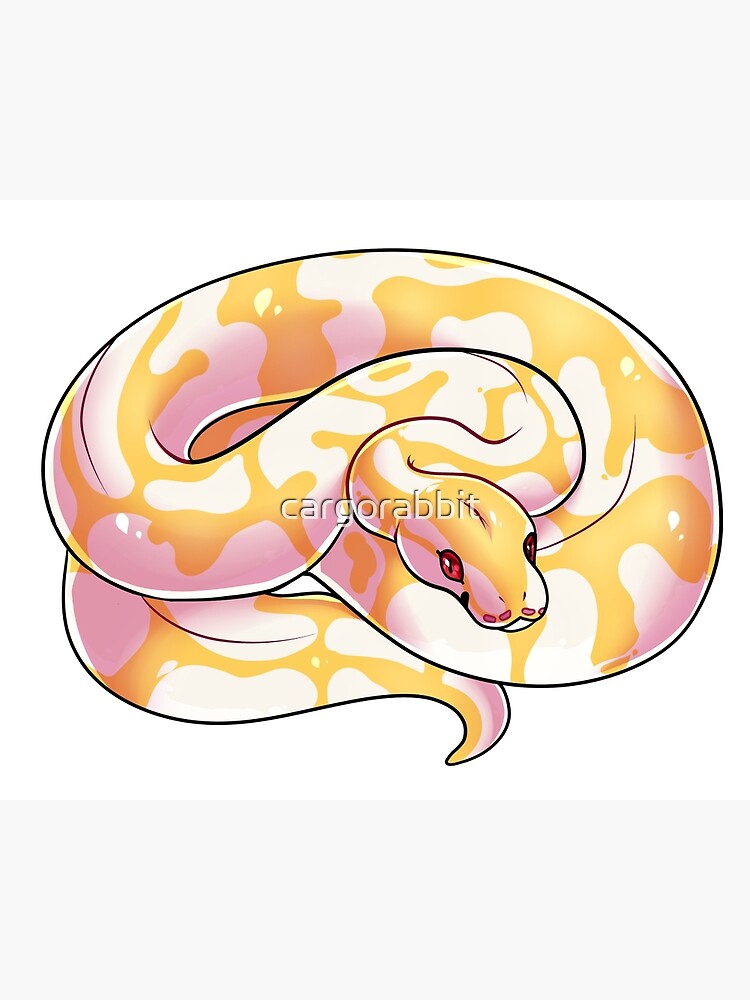 "Albino Ball Python V2" Poster by cargorabbit | Redbubble