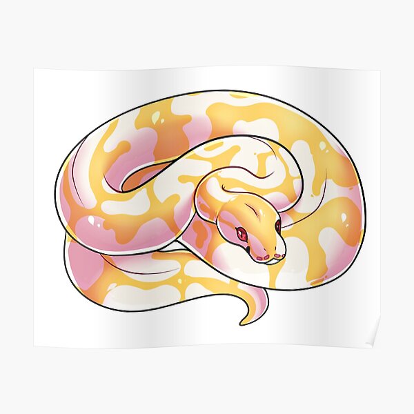 "Albino Ball Python V2" Poster by cargorabbit | Redbubble
