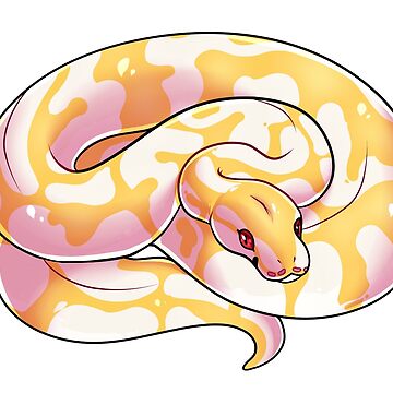 "Albino Ball Python V2" Sticker for Sale by cargorabbit | Redbubble