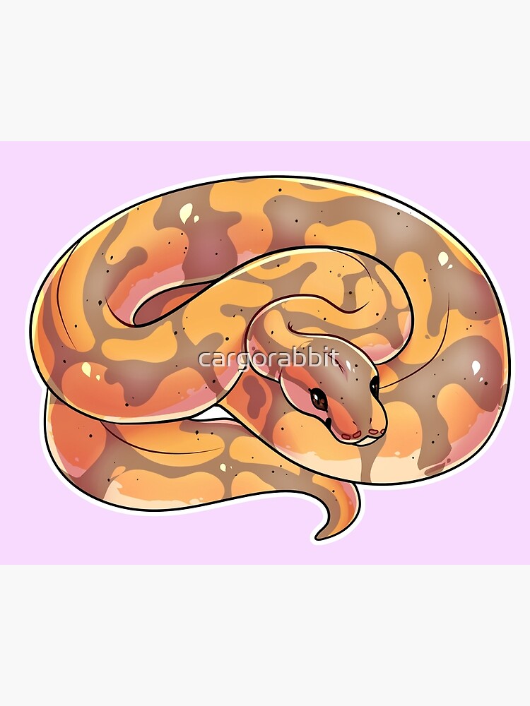 "Banana Ball Python V2" Photographic Print by cargorabbit | Redbubble