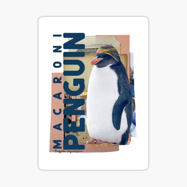 "Macaroni Penguin" Sticker for Sale by LaurenONeillArt | Redbubble