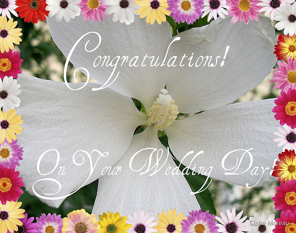 "CONGRATULATIONS!" by Claire Moreau | Redbubble