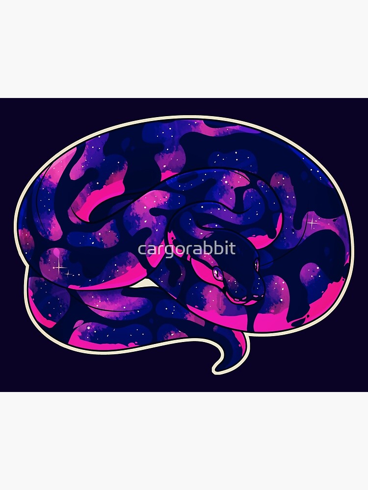 "Galaxy Ball Python" Art Print by cargorabbit | Redbubble