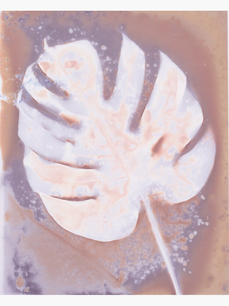 "Rubber Plant Lumen" Sticker for Sale by zaracarpenter | Redbubble