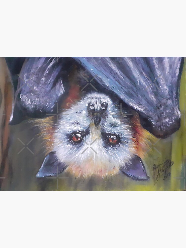 "Batzilla - Serious Bat by Herminia Mesquita" Photographic Print by ...