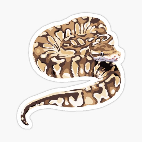 "Chocolate Butter Ball Python" Sticker for Sale by noelhill | Redbubble