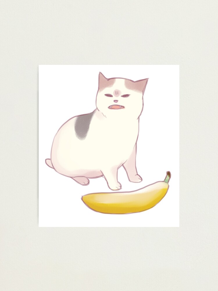 "Chumby Cat No Banana Meme" Photographic Print by kk1414 | Redbubble