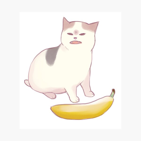 "Chumby Cat No Banana Meme" Photographic Print by kk1414 | Redbubble