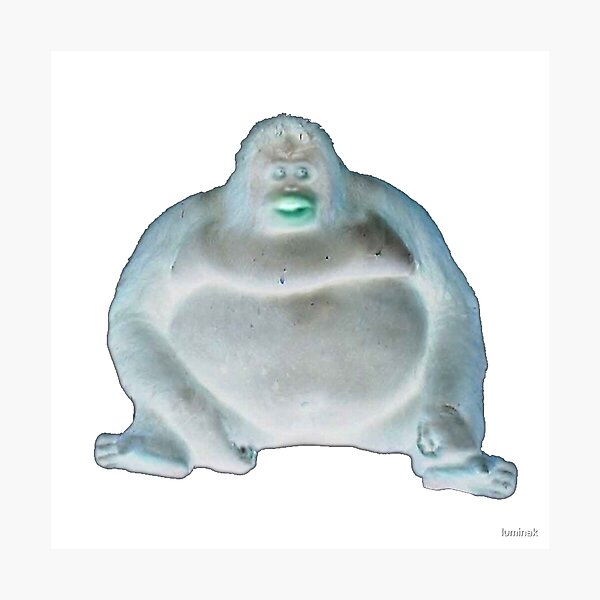 "Ghost of Uh Oh Stinky" Photographic Print for Sale by luminak | Redbubble