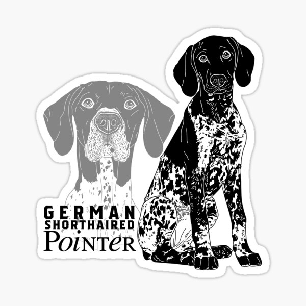 "German Shorthaired Pointers-Puppy and Adult" Sticker for Sale by ...