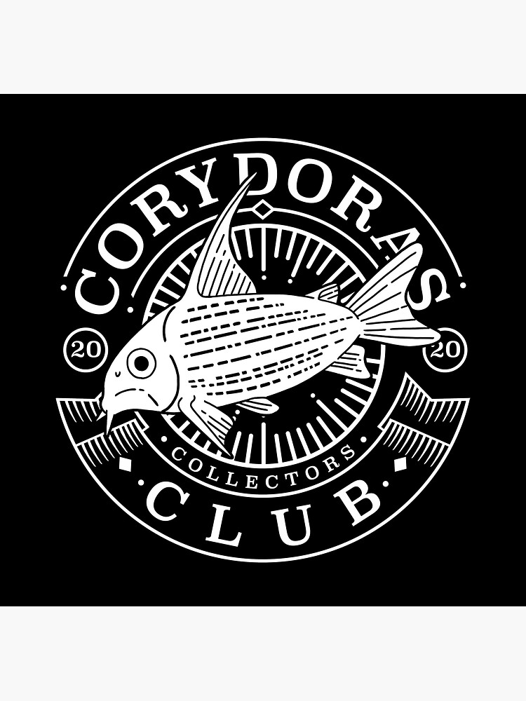 "Corydoras, Cory Catfish, Cory, Collectors Club, Fish, Fishkeeping ...